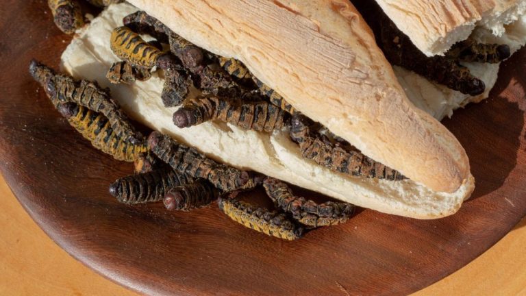 Gastronomia: Namíbia - Diplomacia Business